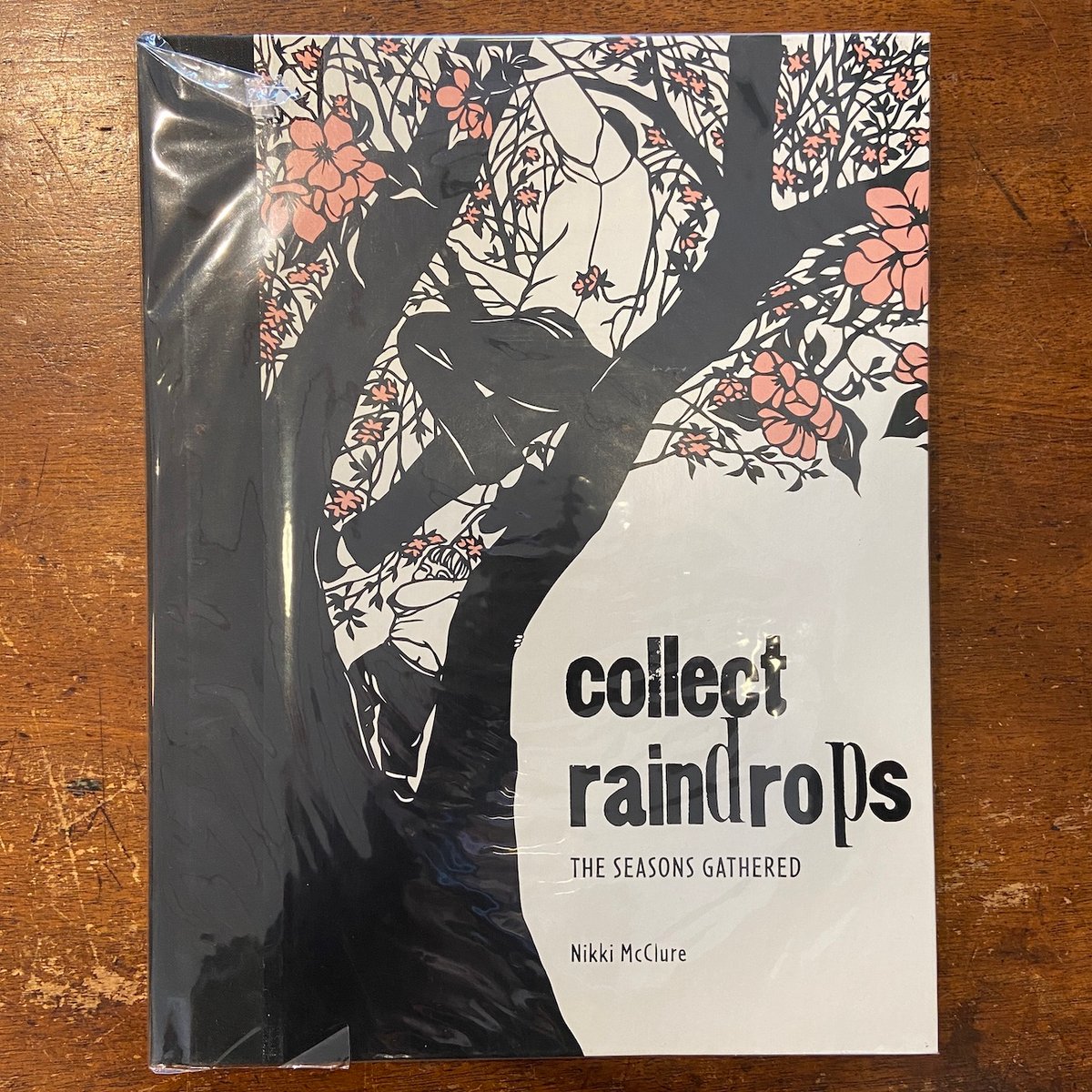 「Collect Raindrops」Nikki McClure | Frobergue o...