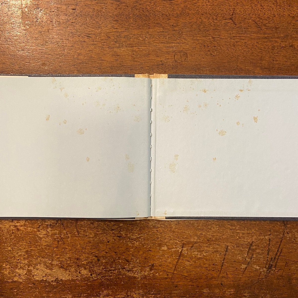 「Mighty Mizzling Mouse」Friso Henstra | Frobergu...