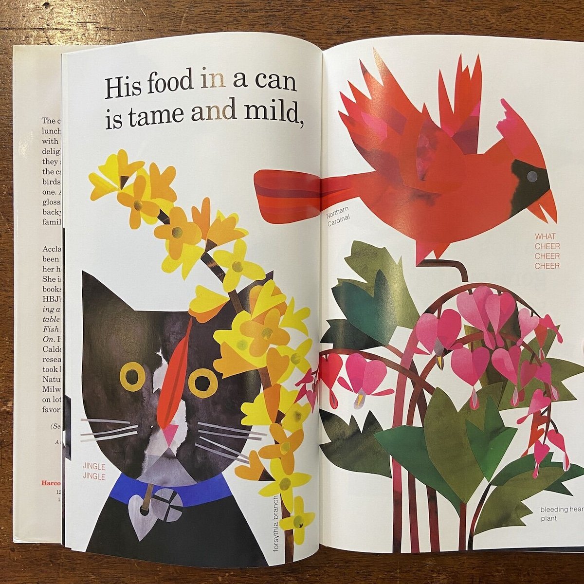 「Feathers for Lunch」Lois Ehlert | Frobergue on...