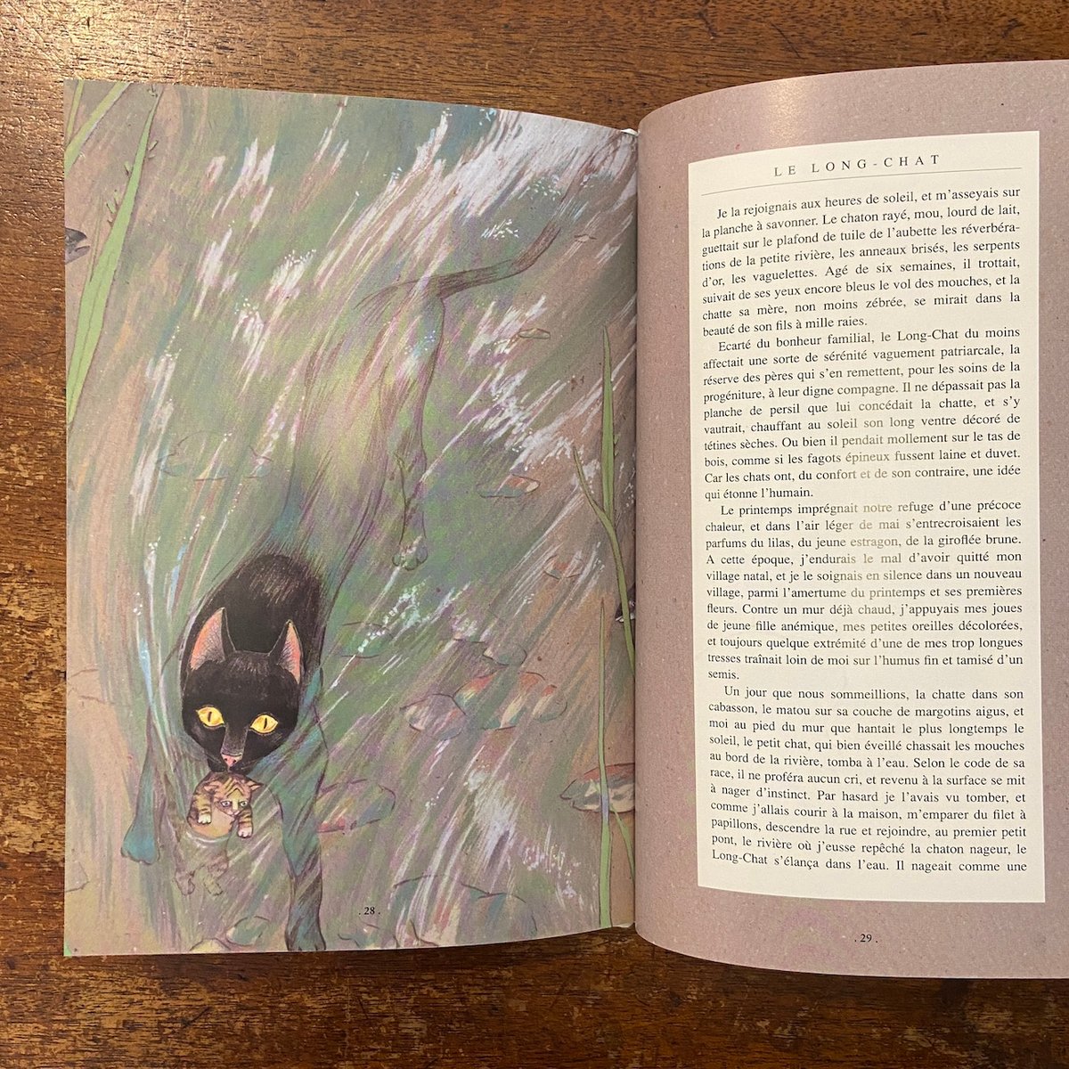 「COLETTE」Anne Salem-Marin Dorothee Duntze（ドロテー・...