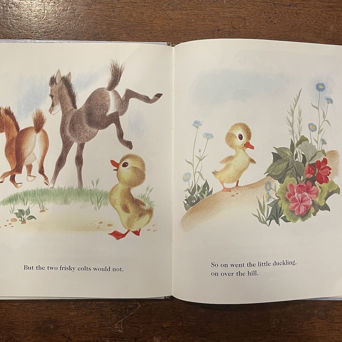 「The Fuzzy Duckling（2003年版）」Jane Werner Watson ...