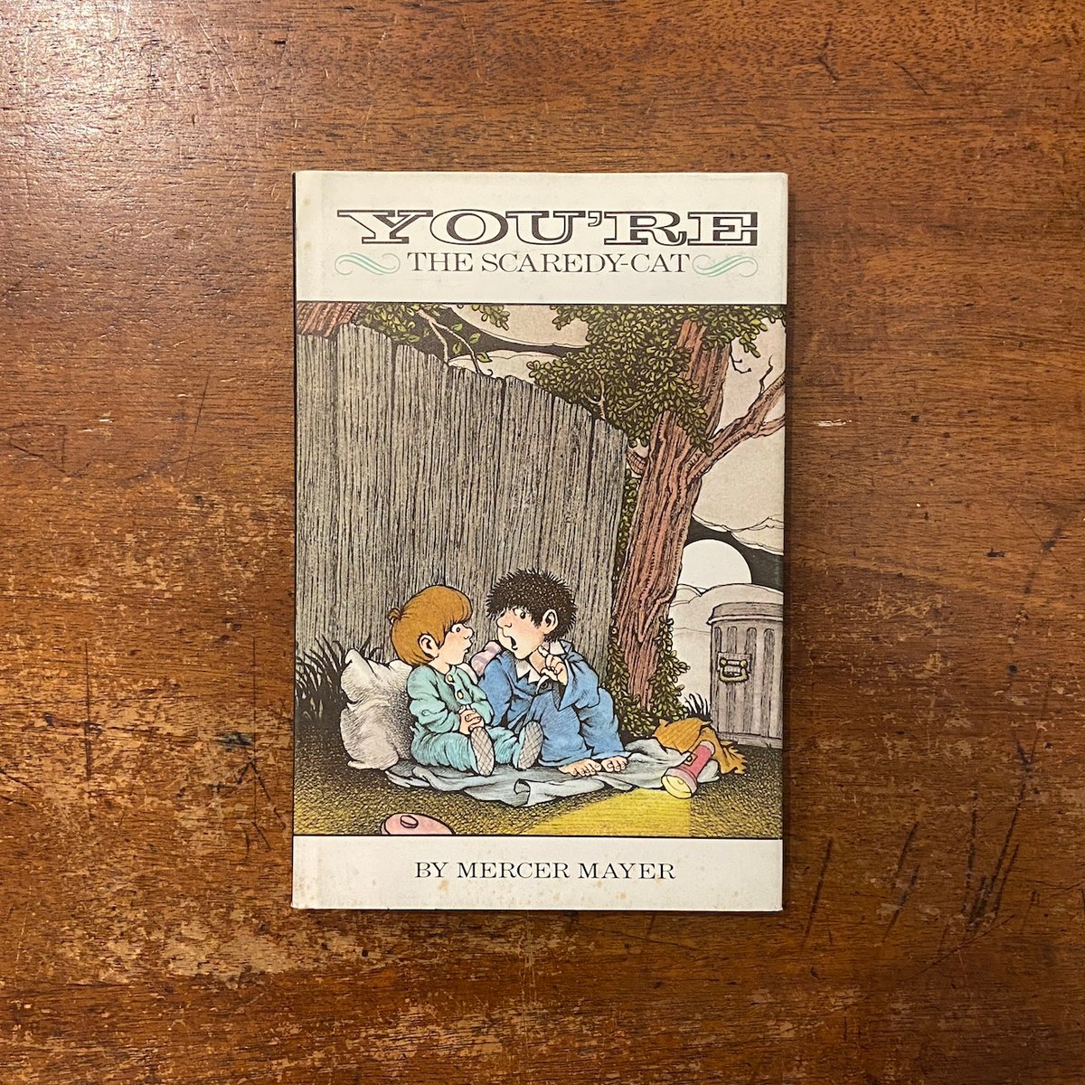 「YOU'RE THE SCAREDY-CAT」Mercer Mayer | Frobergu...