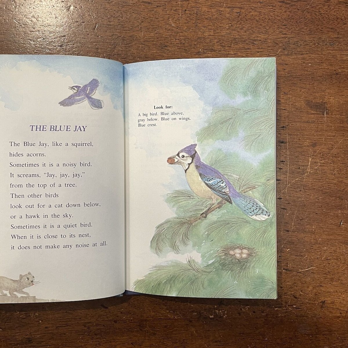 「LOOK FOR A BIRD」Edith Thacher Hurd Clement Hur...