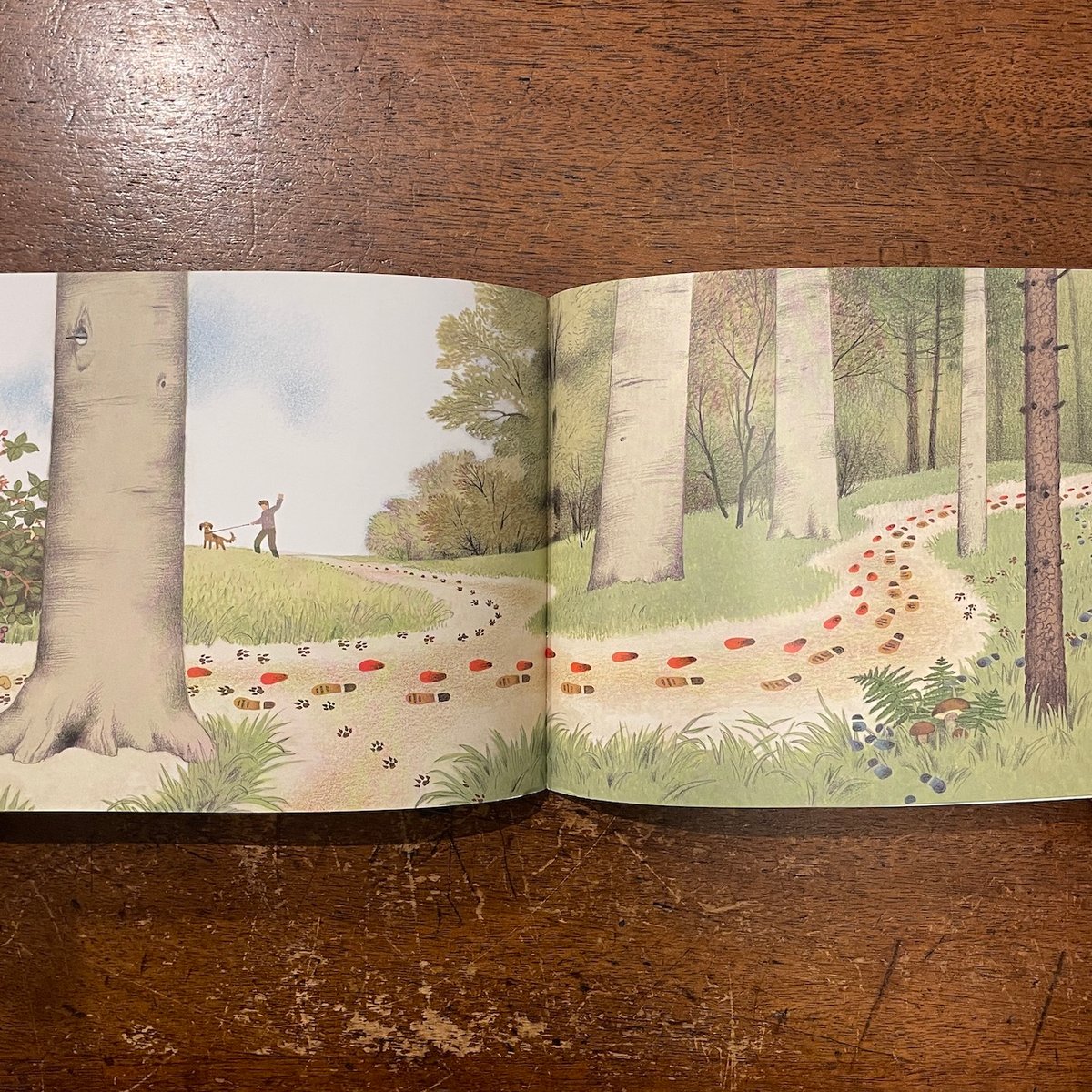 「Devine, qui a retrouve Teddy」Gerda Muller（ゲルダ・...