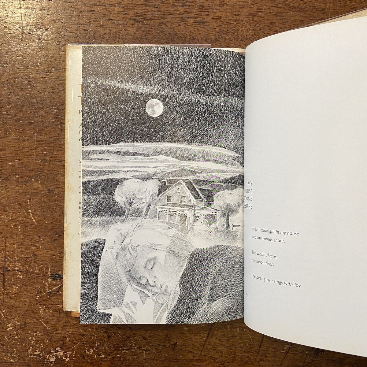 「The Real Tin Flower」Aliki Barnstone Anne Sexto...