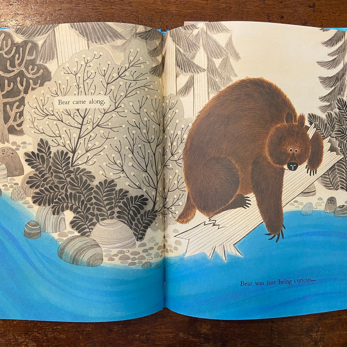 「BEAR CAME ALONG」Richard T. Morris LeUyen Pham ...