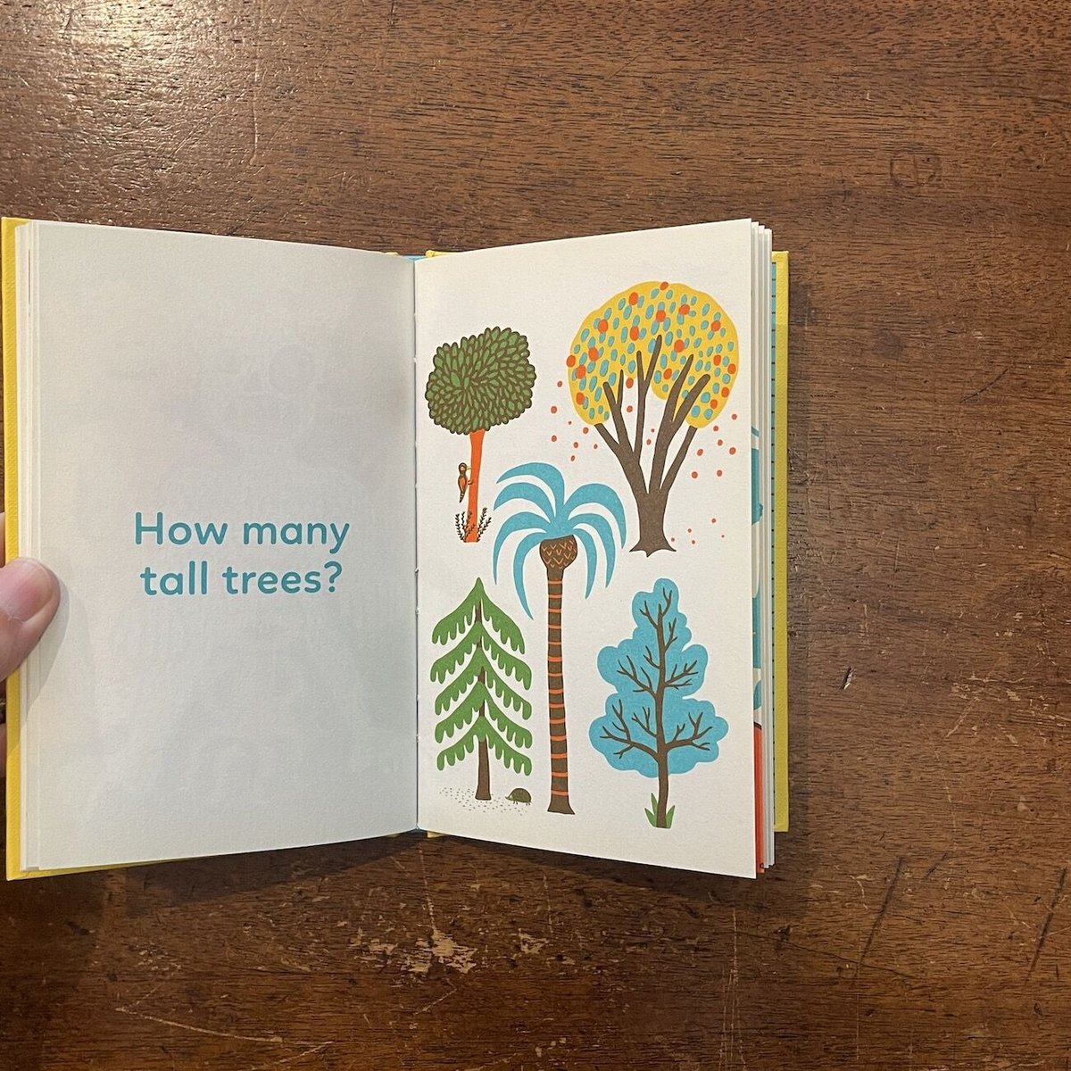「HOW MANY LEGS？：A COUNTING BOOK」Katja Spitzer