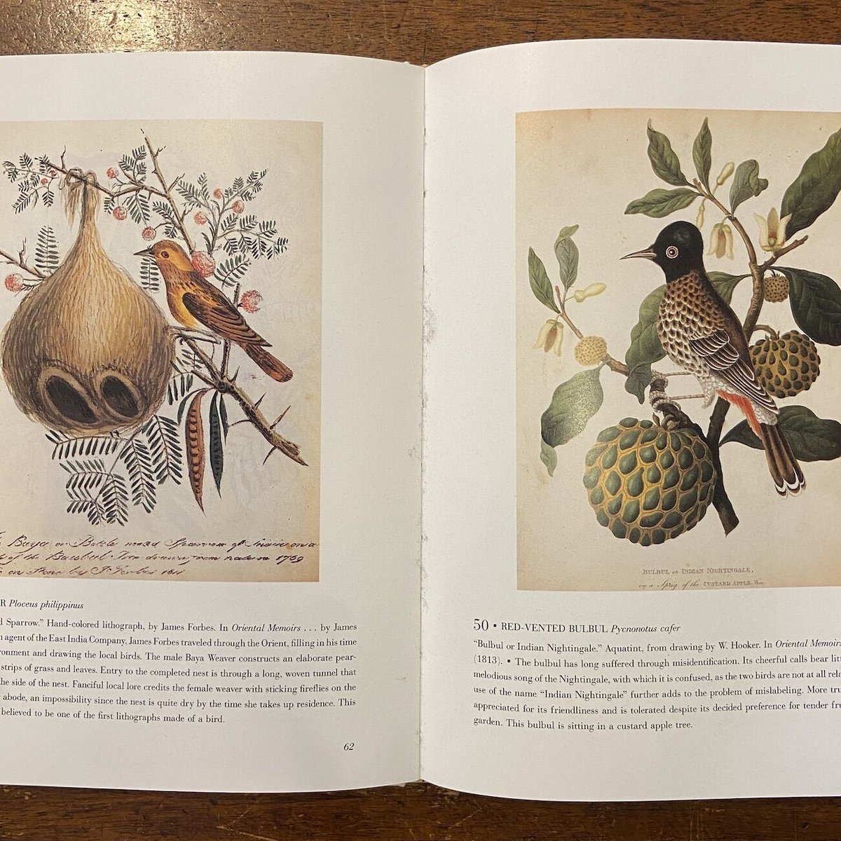 「THE BIRD ILLUSTRATED 1550-1900」Joseph Kastner ...