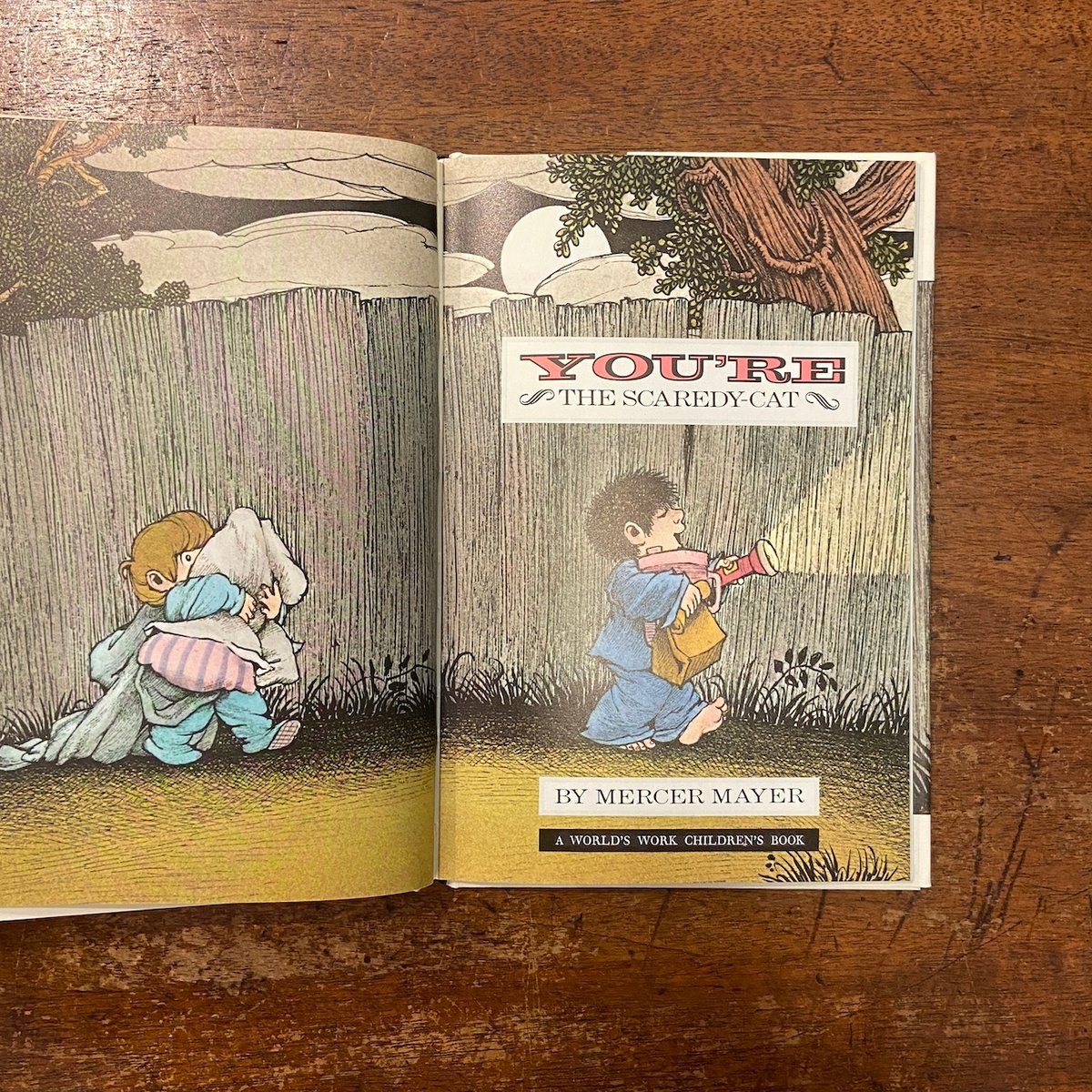 「YOU'RE THE SCAREDY-CAT」Mercer Mayer | Frobergu...