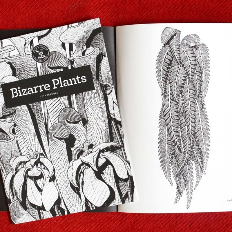 Bizarre Plants / YUTA OKAMURA | STRAIGHT Bizarre Plants / YUTA OKAMURA | STRAIGHT