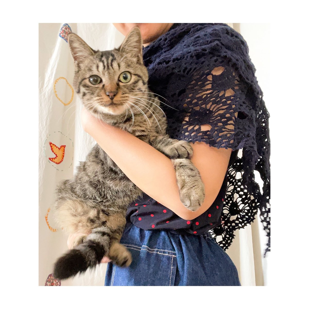 ダウンロードレシピ】仔猫たちスカーフ-SALA-RE:- | ooami-knit ダウンロードレシピ】仔猫たちスカーフ-SALA-RE:- | ooami-knit