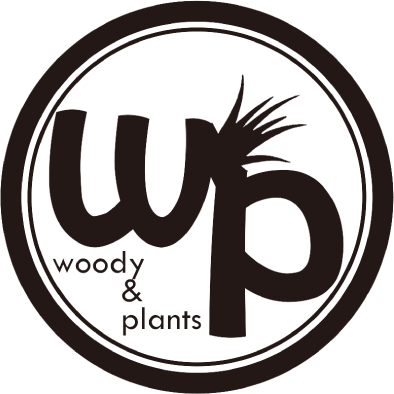 ブルボーサ タイニーダンサー | woody & plants