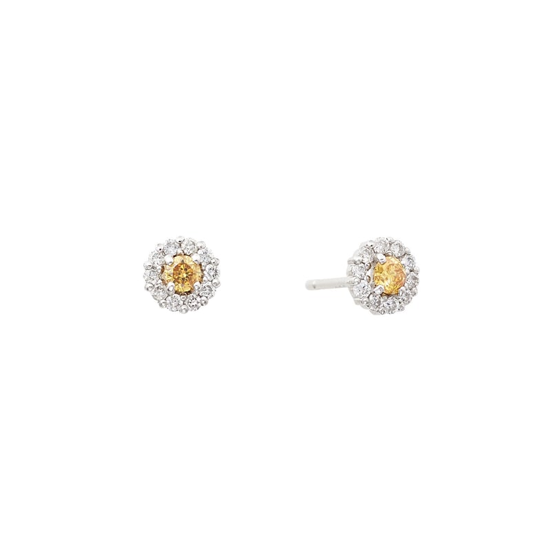 PT900イエローダイヤモンドピアス | VERITEOnline-Shop PT900イエローダイヤモンドピアス | VERITEOnline-Shop