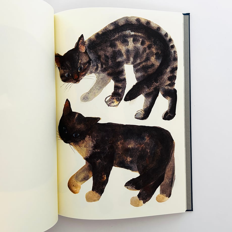 SABINKA A MAKULKA | 誠光社 通信販売