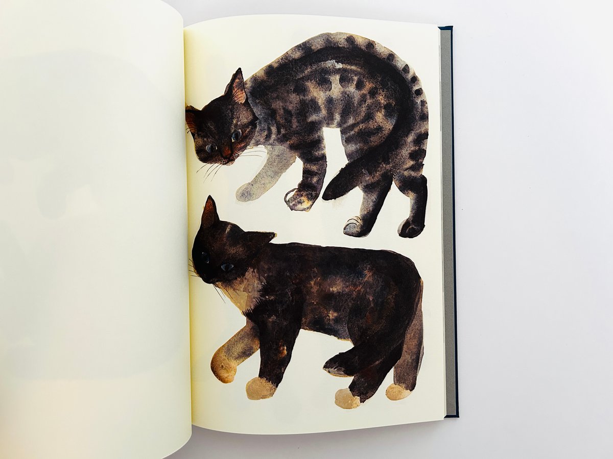 SABINKA A MAKULKA | 誠光社 通信販売