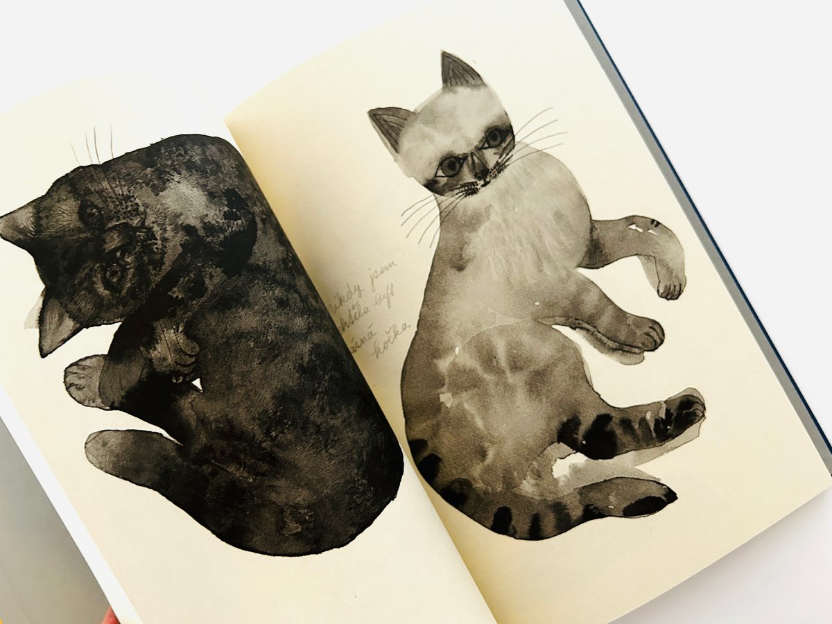 SABINKA A MAKULKA | 誠光社 通信販売