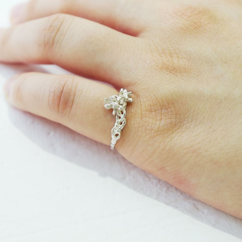 acacia ring | Fillyjonk ONLINE STORE acacia ring | Fillyjonk ONLINE STORE