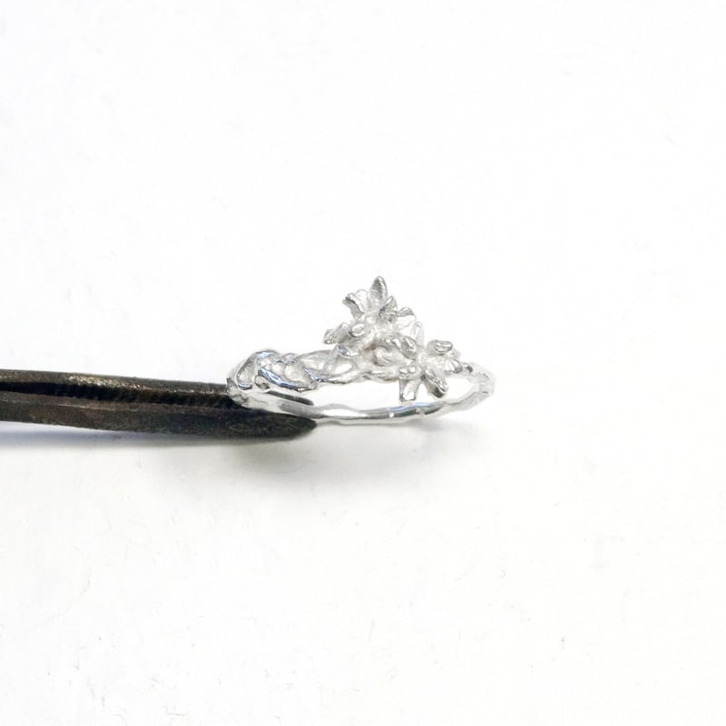 acacia ring | Fillyjonk ONLINE STORE acacia ring | Fillyjonk ONLINE STORE