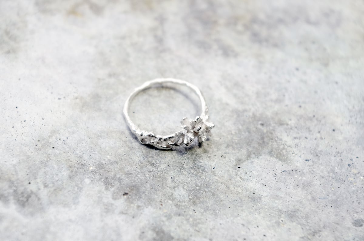 acacia ring | Fillyjonk ONLINE STORE acacia ring | Fillyjonk ONLINE STORE