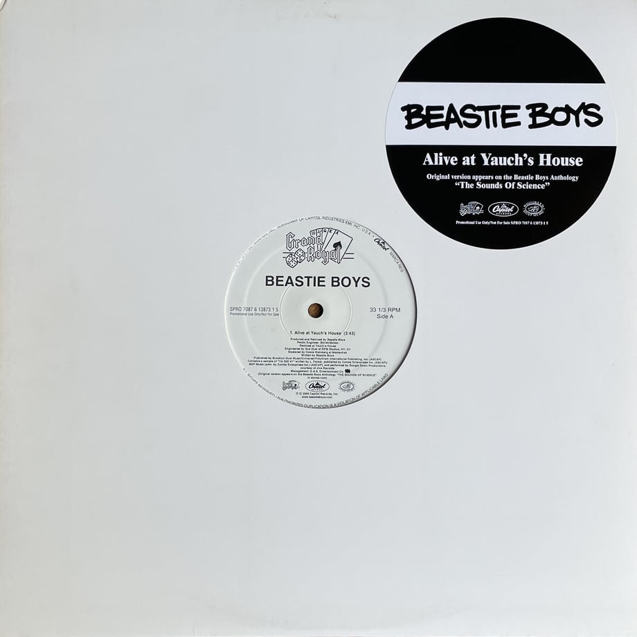 BEASTIE BOYS / Alive At Yauch's House | Oscilla...