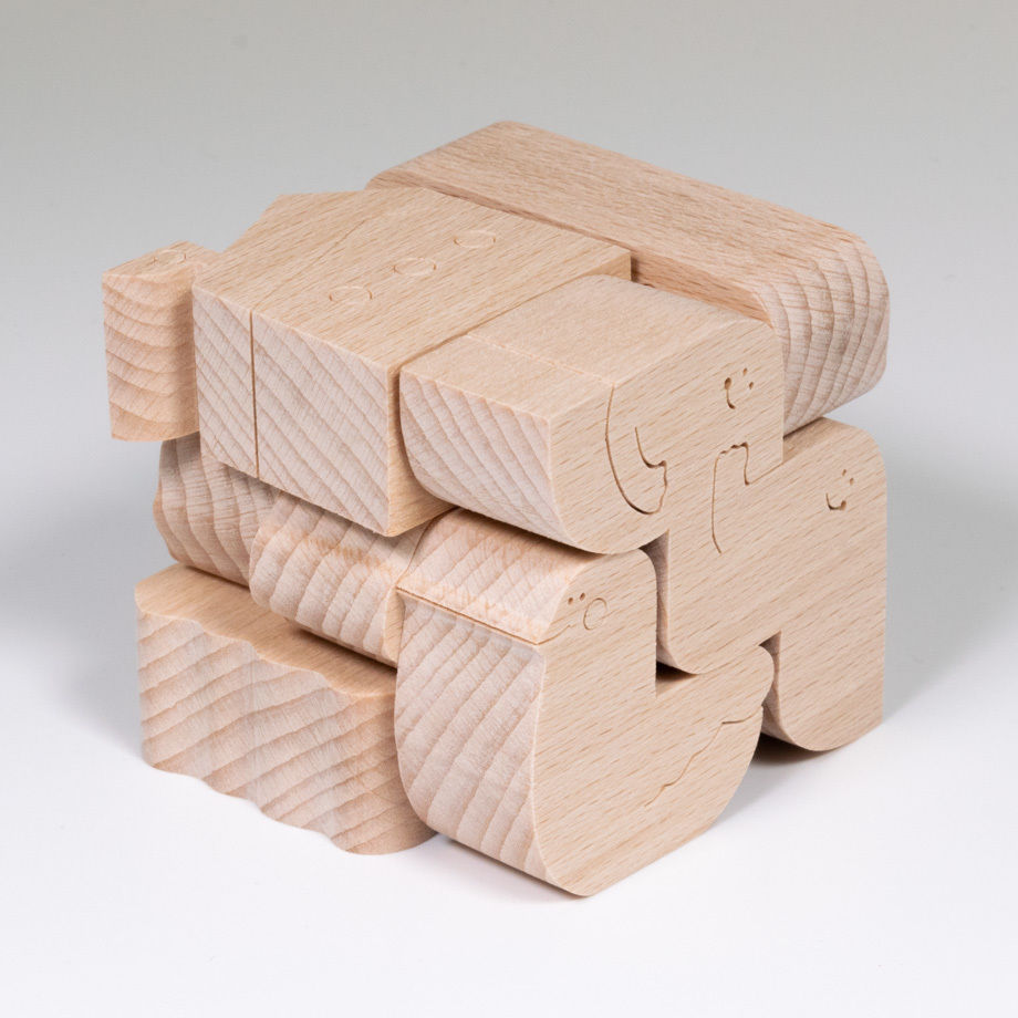 polycube puzzle cube | iriki