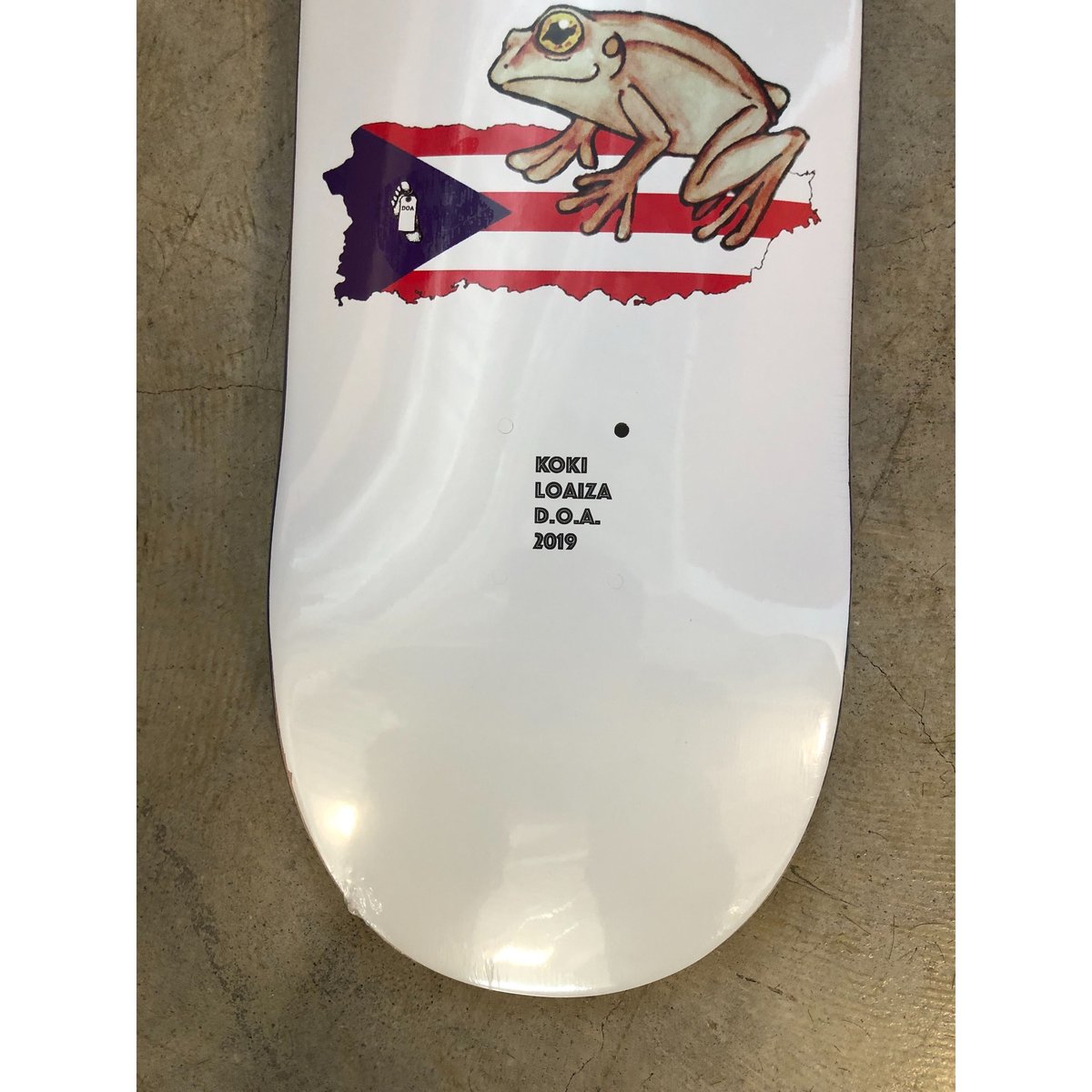 Koki Frog | BEACON LIFESTYLE SHOP