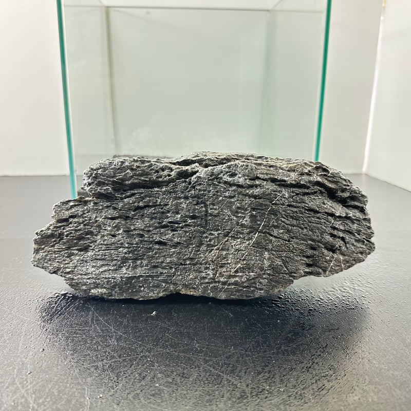 BIGドラゴンストーン 1点もの No.5559(W約26cm) (30cm水槽 BIGドラゴンストーン 1点もの No.5559(W約26cm) (30cm水槽