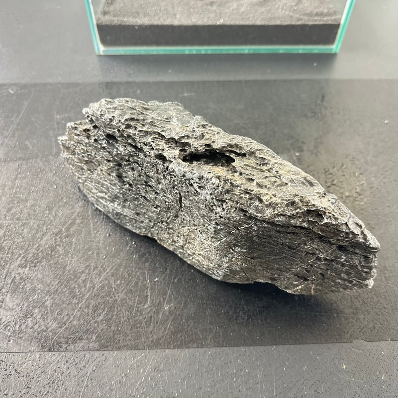 BIGドラゴンストーン 1点もの No.5559(W約26cm) (30cm水槽 BIGドラゴンストーン 1点もの No.5559(W約26cm) (30cm水槽