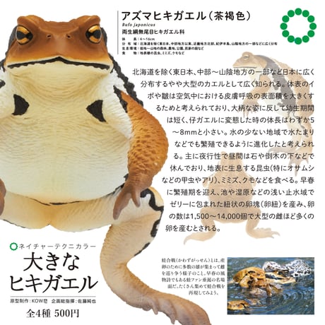 NTC MONO 大きなヒキガエル | 株式会社いきもん WEBストア