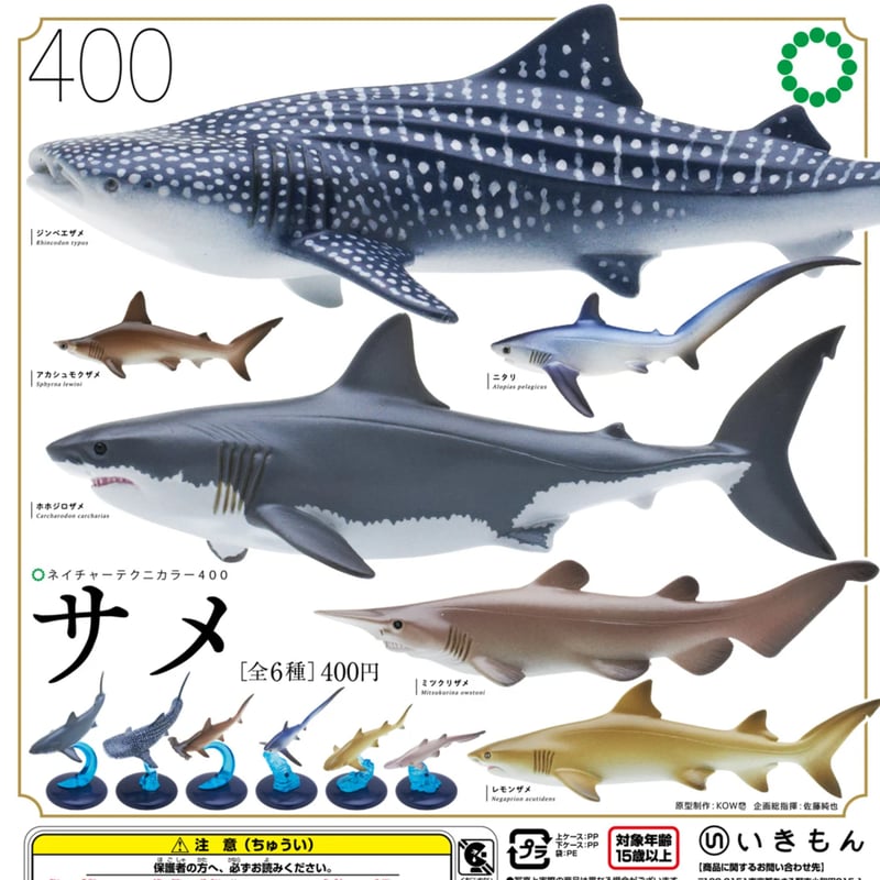 NTC 400 サメ | 株式会社いきもん WEBストア NTC 400 サメ | 株式会社いきもん WEBストア