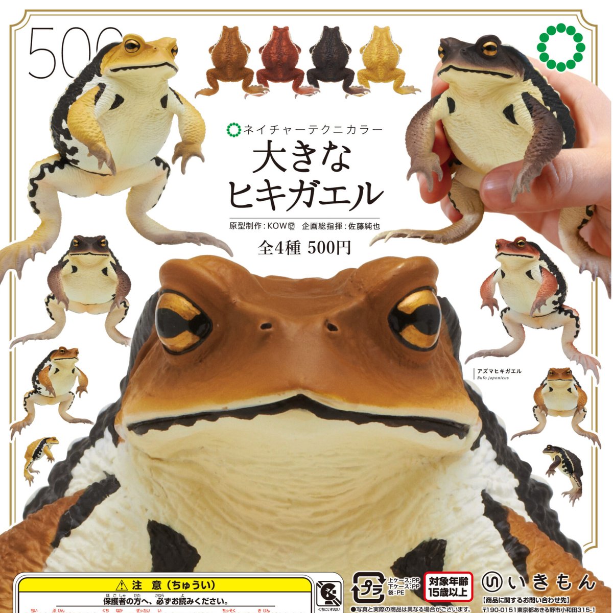 NTC MONO 大きなヒキガエル | 株式会社いきもん WEBストア