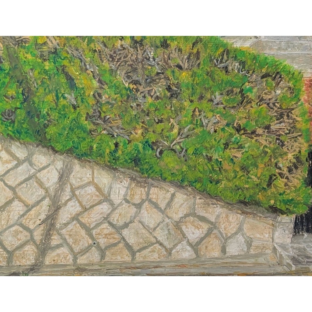 マメイケダ：「植垣」 | nowaki