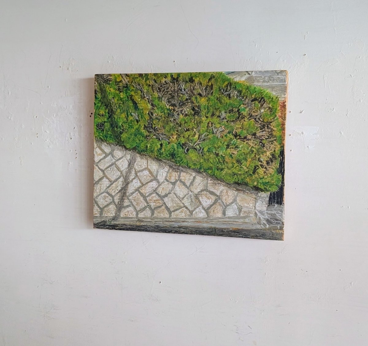 マメイケダ：「植垣」 | nowaki