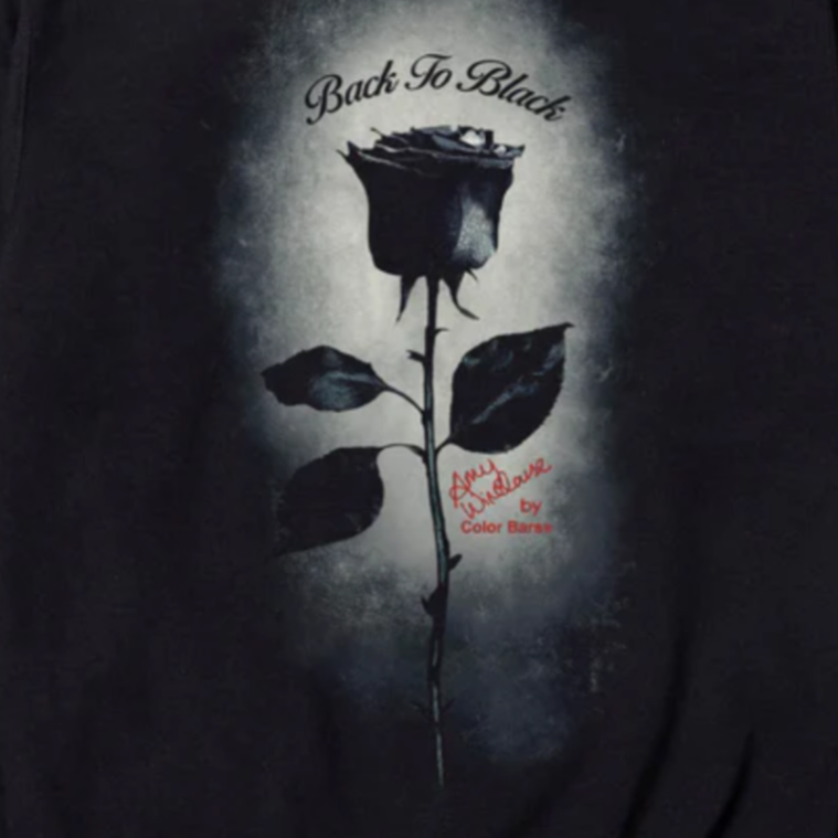 COLOR BARS BACK TO BLACK CREWNECK - BLACK | BOT...