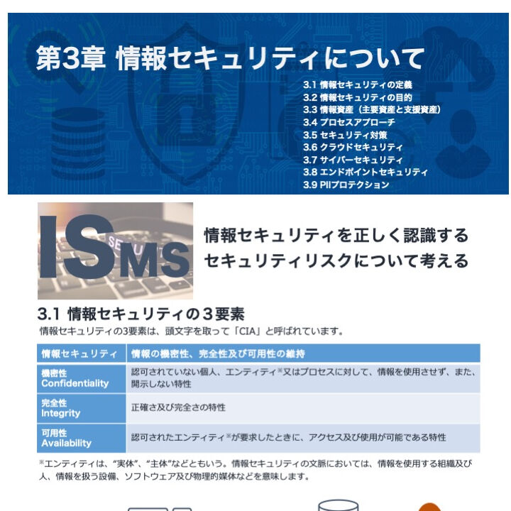 ISMS推進マニュアルー活用ガイドブック3.0版ー 冊子 | MSQA Stores