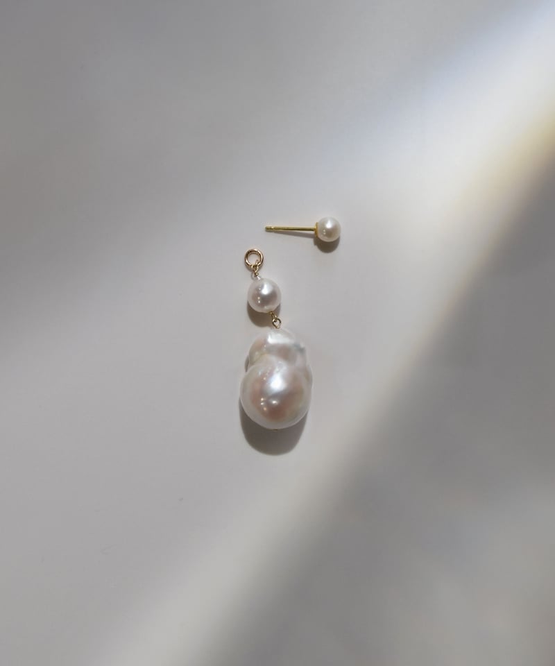 uva | ripsalis uva | ripsalis