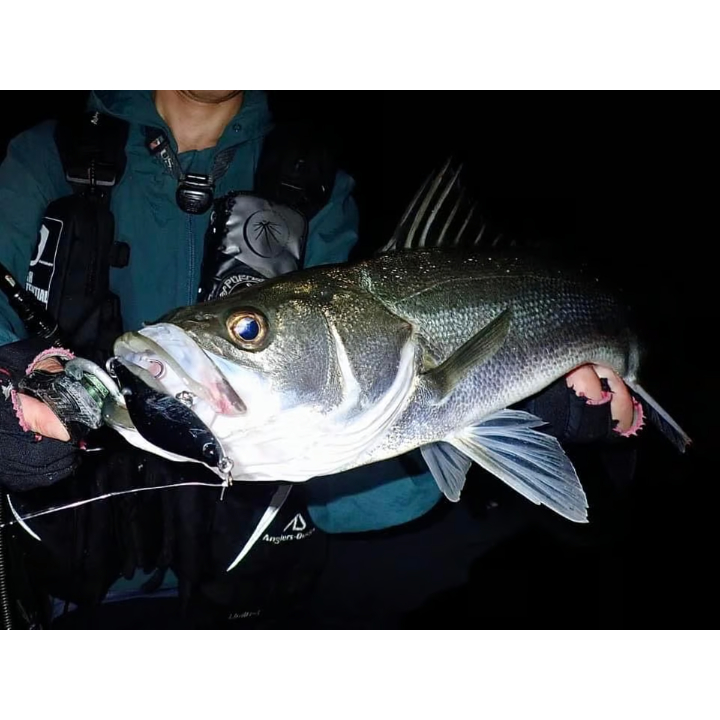 レヴォルーク99S | BLAZEYE OFFICIAL STORE