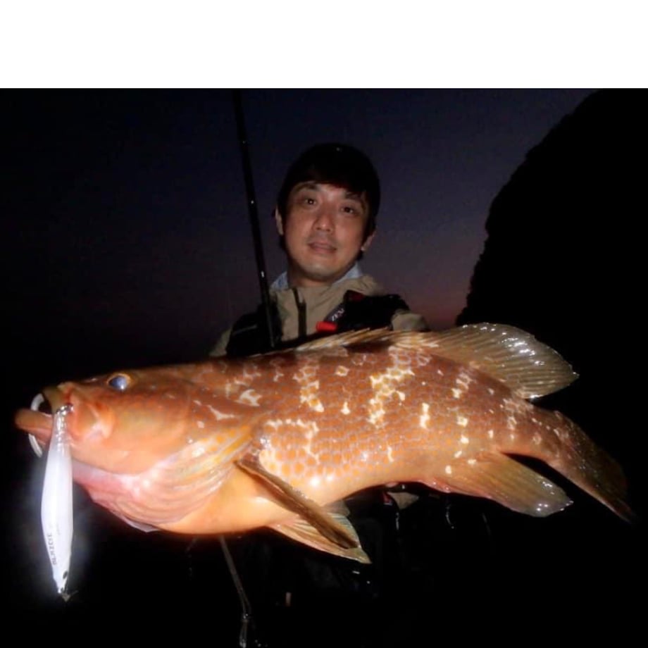 レヴォルーク99S | BLAZEYE OFFICIAL STORE