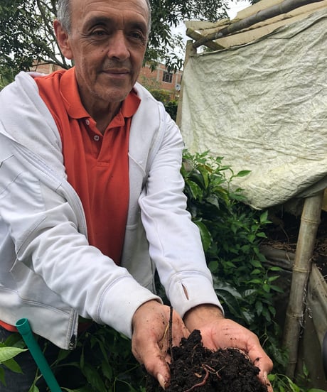 200g Colombia El Alto Washed - Medium Dark | Me...