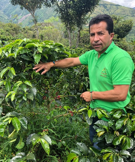 200g Colombia El Alto Washed - Medium Dark | Me...