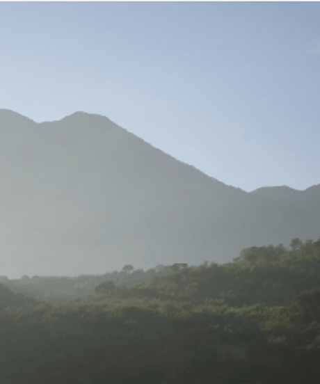 200g Guatemala El Mirador Geisha Natural | Mel ...