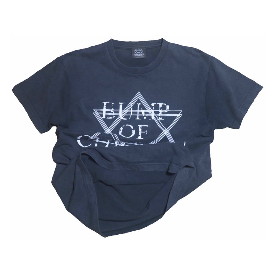 BUMP OF CHICKEN(バンプオブチキン) Tシャツ | 少しマニアックな古着のセレク...