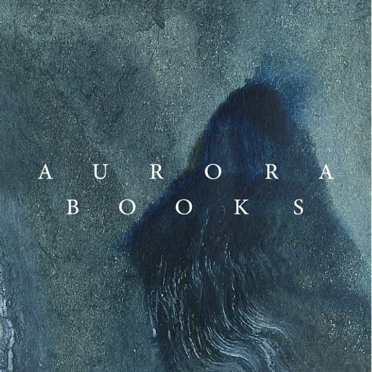 【AURORA BOOKS 実店舗開店のお知らせ】 | archipelago