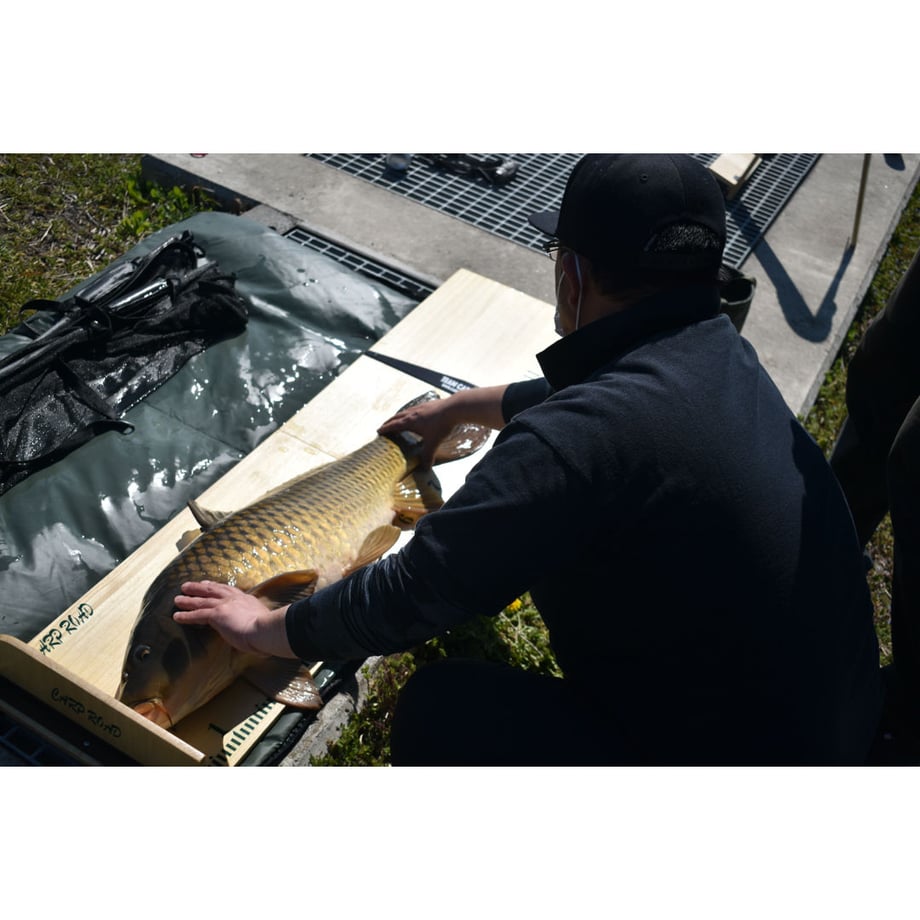 カープボード フルサイズver. | CARPROAD カープロード オンラインストア