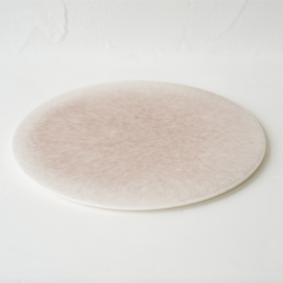 NO.57-F 岩崎龍二 Φ24.7㎝ フラットプレート 椿 | JIBITA