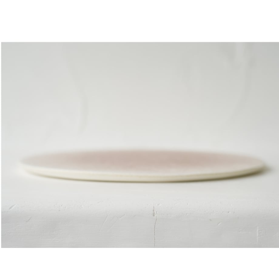 NO.57-G 岩崎龍二 Φ24.8㎝ フラットプレート 椿 | JIBITA