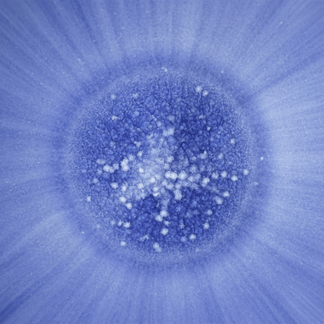 NO.19-E 岩崎龍二 Φ21.5㎝ 7寸縁鉢 紫匂 | JIBITA