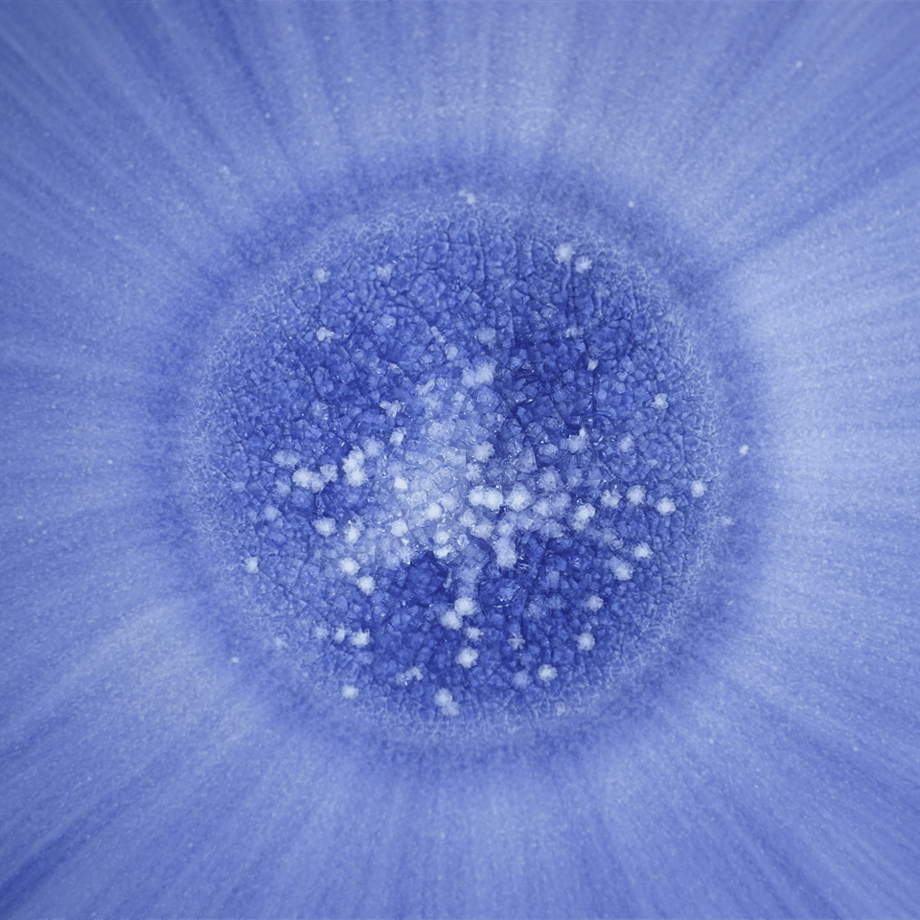 NO.19-E 岩崎龍二 Φ21.5㎝ 7寸縁鉢 紫匂 | JIBITA