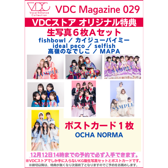 【予約限定版】VDC Magazine 029＋「生写真6枚」＆「OCHA NORMAポストカ...