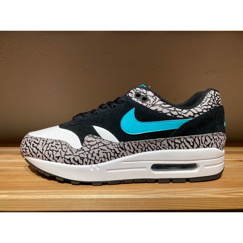 ☆atmosコラボ・JADE - NIKE AIR MAX 1 PREMIUM RETRO E ☆atmosコラボ・JADE - NIKE AIR MAX 1 PREMIUM RETRO E